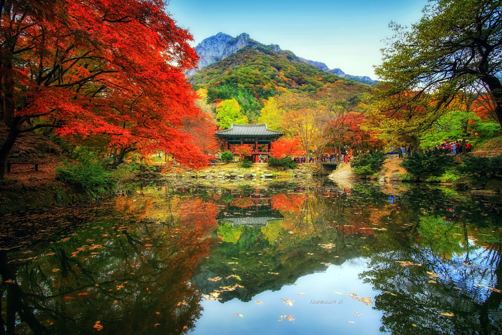 Autumn Reflection by Jaewoon U / 500px