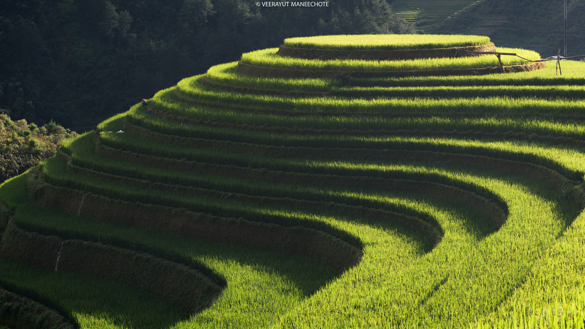 Curves by Veerayut Maneechote / 500px