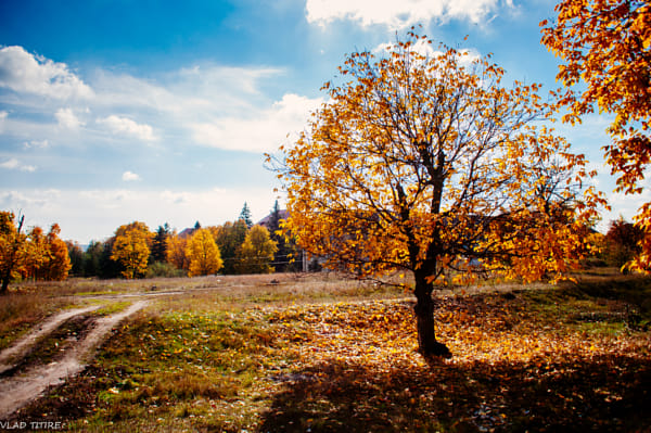 LiquidMetal by Thomas Schlueter | 500px