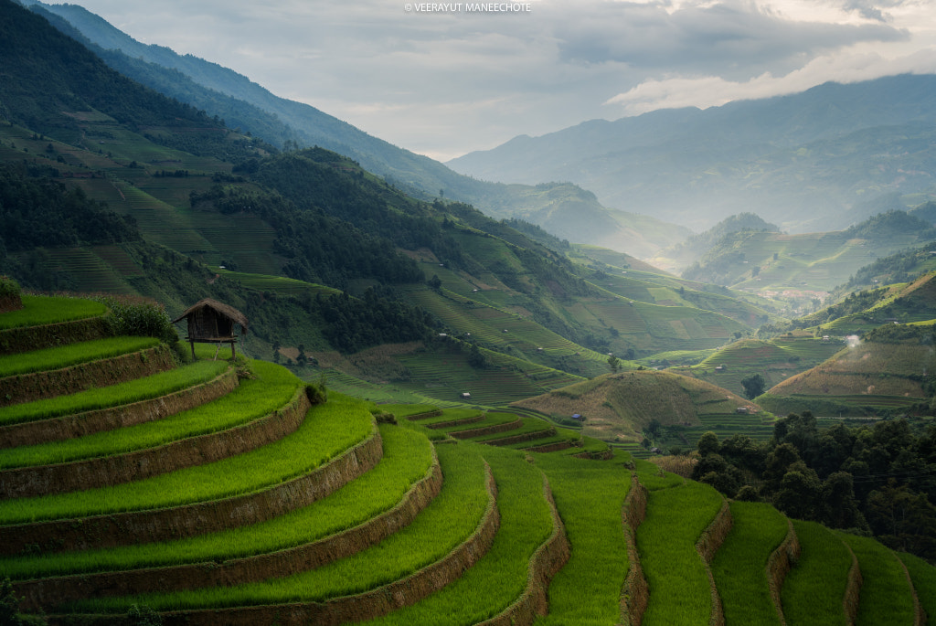 Mu Cang Chai by Veerayut Maneechote / 500px