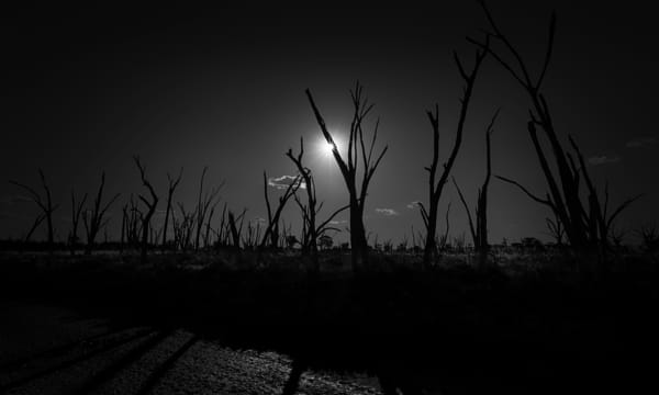 Evening in Dumbleyung Lake by Julian Cook | 500px