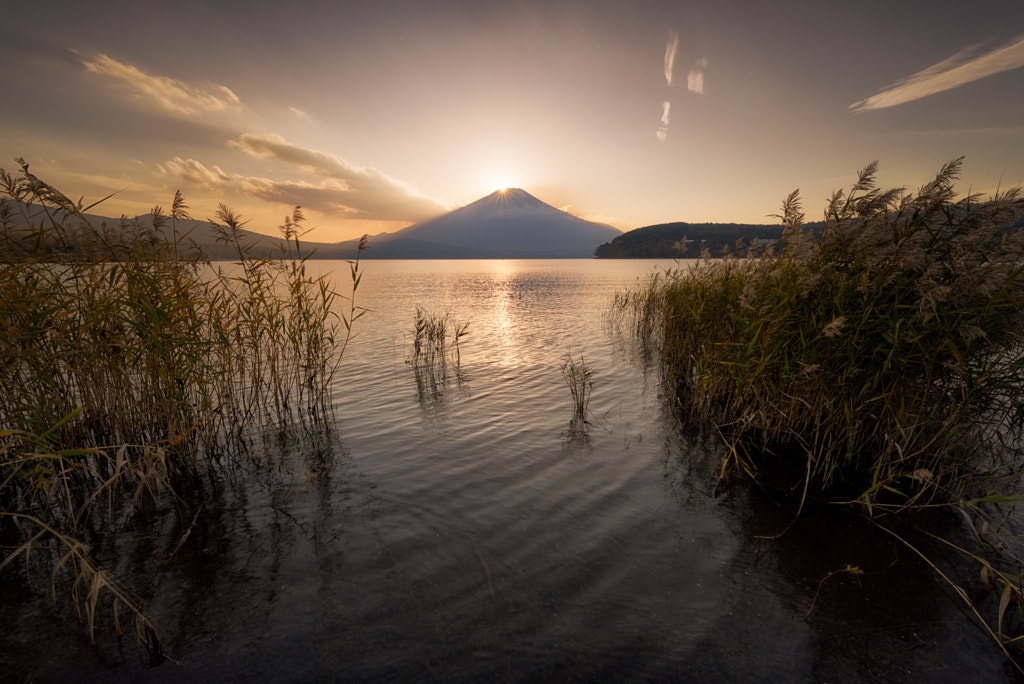 Diamond Fuji at Lake Yamanaka Today by Yuga Kurita / 500px