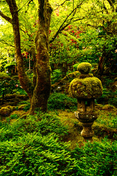 Butchart Gardens by Chris Taylor | 500px