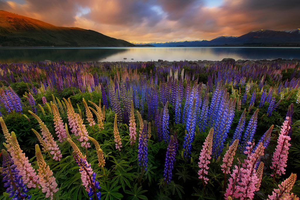That Morning Call by Christian Lim / 500px