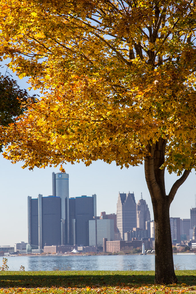 Autumn in Detroit by Steve Pepple / 500px