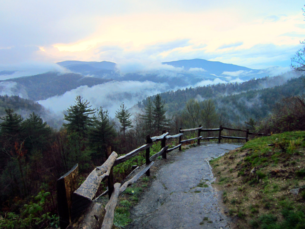 Coursing path by Neil Kapadia / 500px