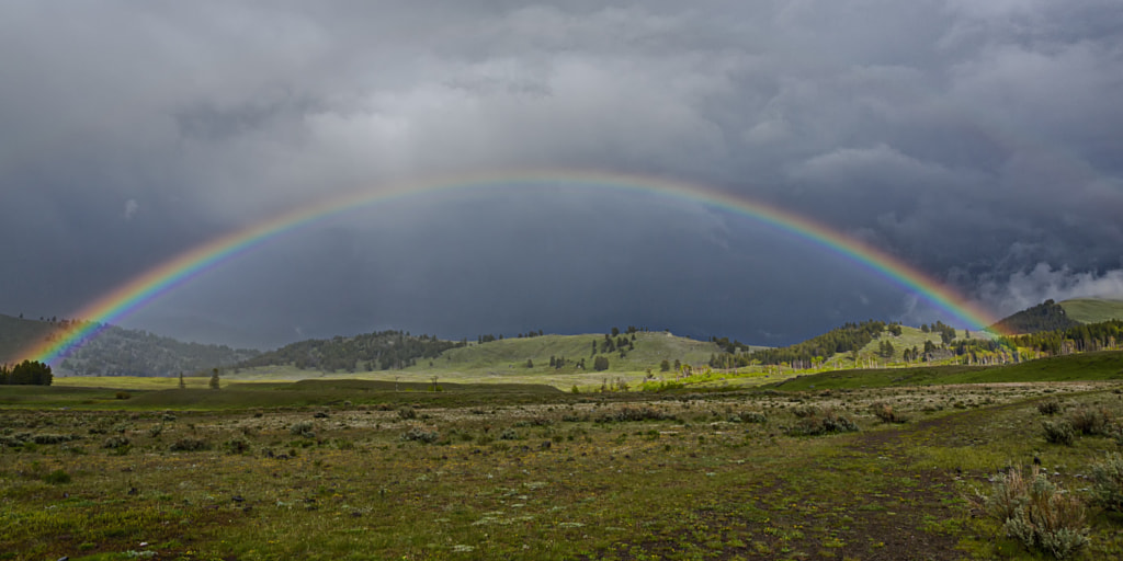 Yellowstone Rainbow by Cecelia Louis-Ralston / 500px