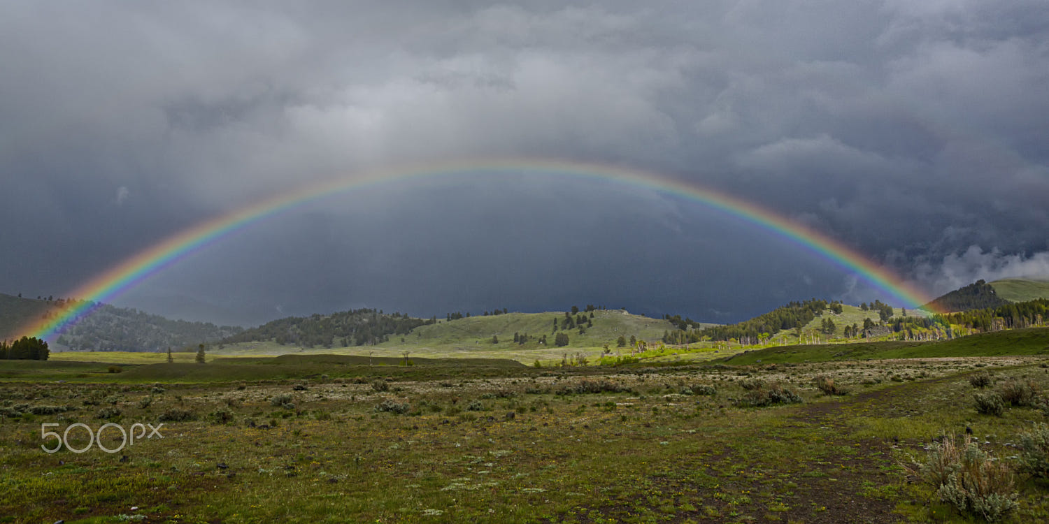 Yellowstone Rainbow by Cecelia Louis-Ralston / 500px