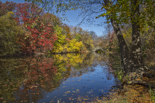 Fall in Philly by Elliot Barnathan | 500px