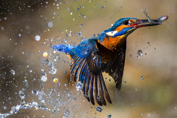 Haulbowline Lighthouse by Jarlath Gray / 500px