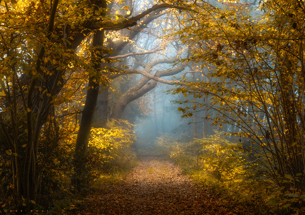 Loving Light by Oer-Wout / 500px