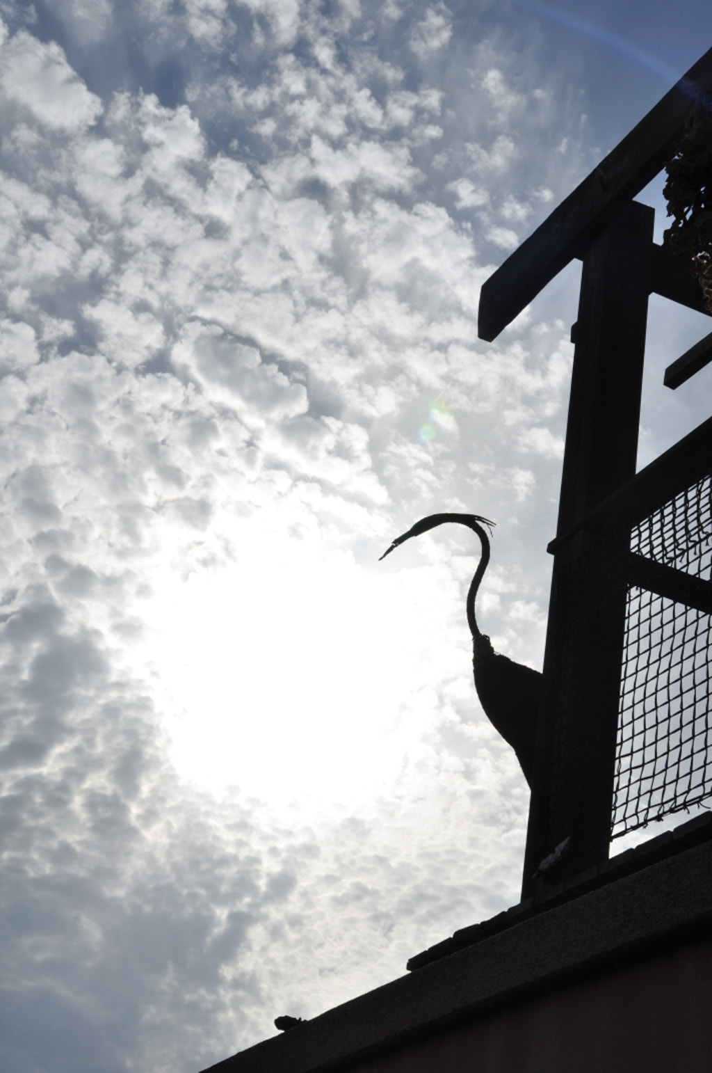 Crane shadow.JPG by Mirjam de Bakker / 500px
