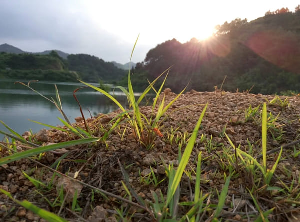 growing and fighting by Cristy Chen | 500px