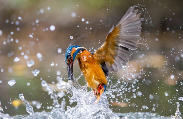 Haulbowline Lighthouse by Jarlath Gray / 500px