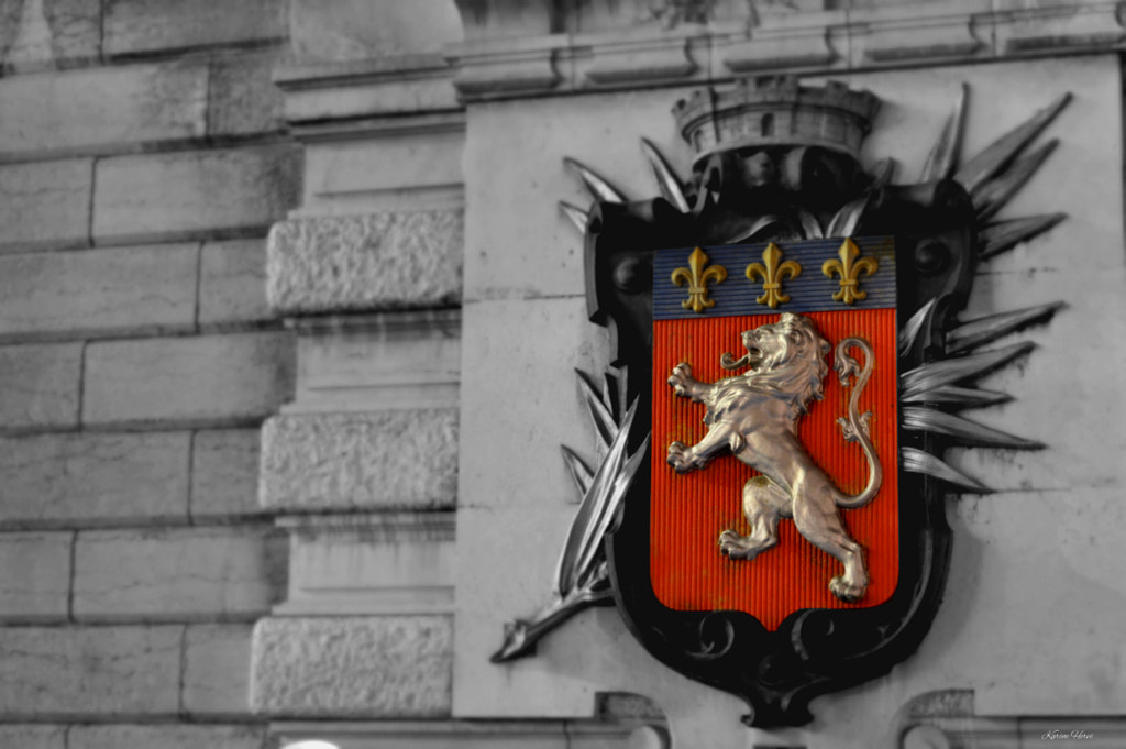 Lyon, ma ville : le blason by Karine Hervé / 500px