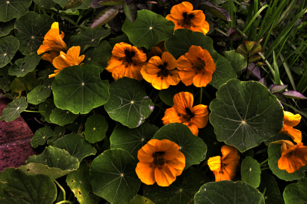 hdr by Scott Colson / 500px