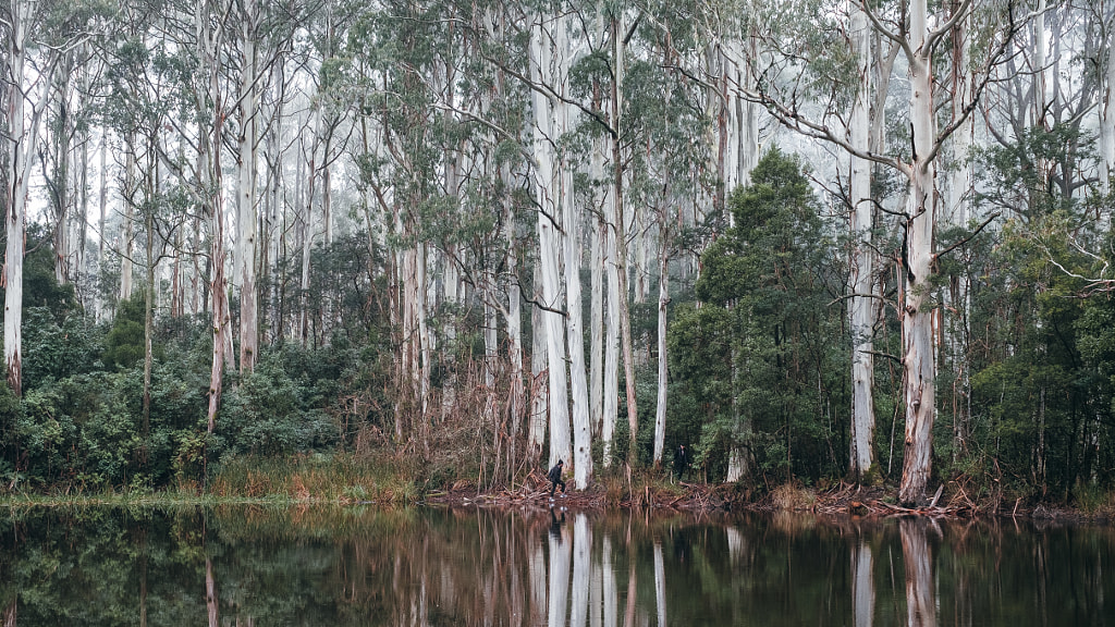 Sanatorium Lake by Noel Dong / 500px