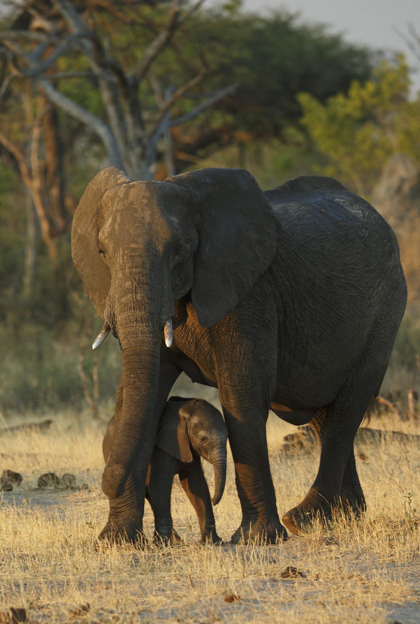 Ken Watkins (kenwatkins) Photos / 500px