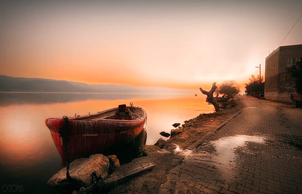 Leopard Yawn by Hendri Venter | 500px