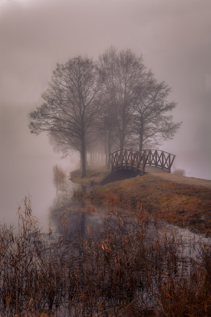 The Bridge by Göran Ebenhart / 500px