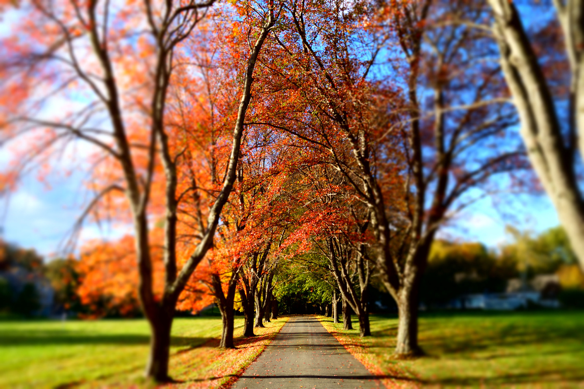 Dream Road, by Mohsen Behnam by Mohsen Behnam / 500px