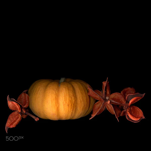 Yellow-crowned Barbet by Allan Seah | 500px
