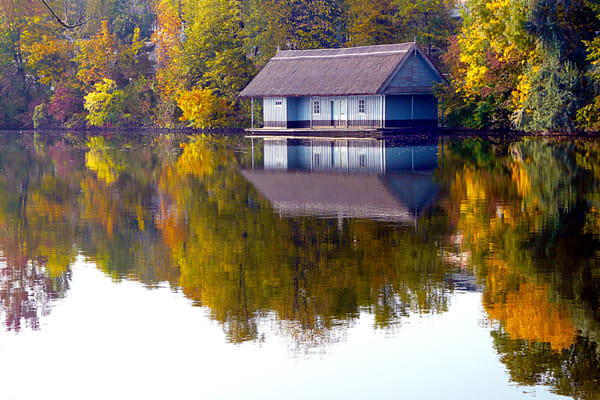 Yellow-crowned Barbet by Allan Seah | 500px