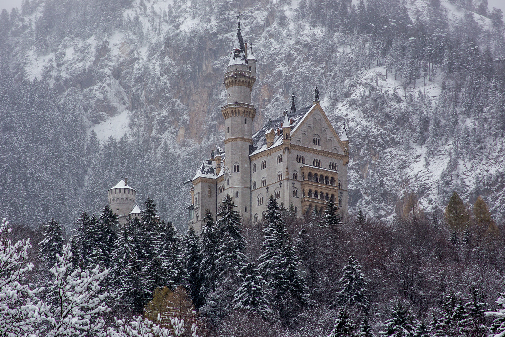 Neuschwanstein Castle by Adrian Euler / 500px