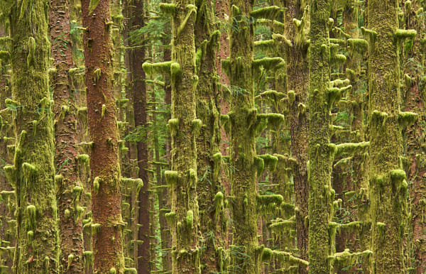 Untitled by Jamie Rhoades | 500px