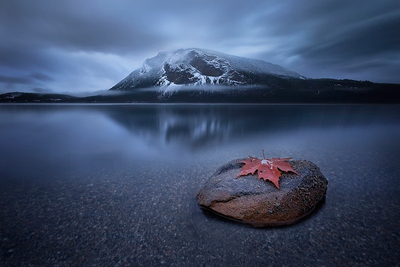 O Canada by Sarah Lyndsay / 500px