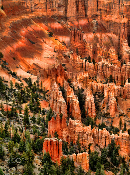 BRYCE SALMON SHADES by EDUARDO ZEPEDA / 500px