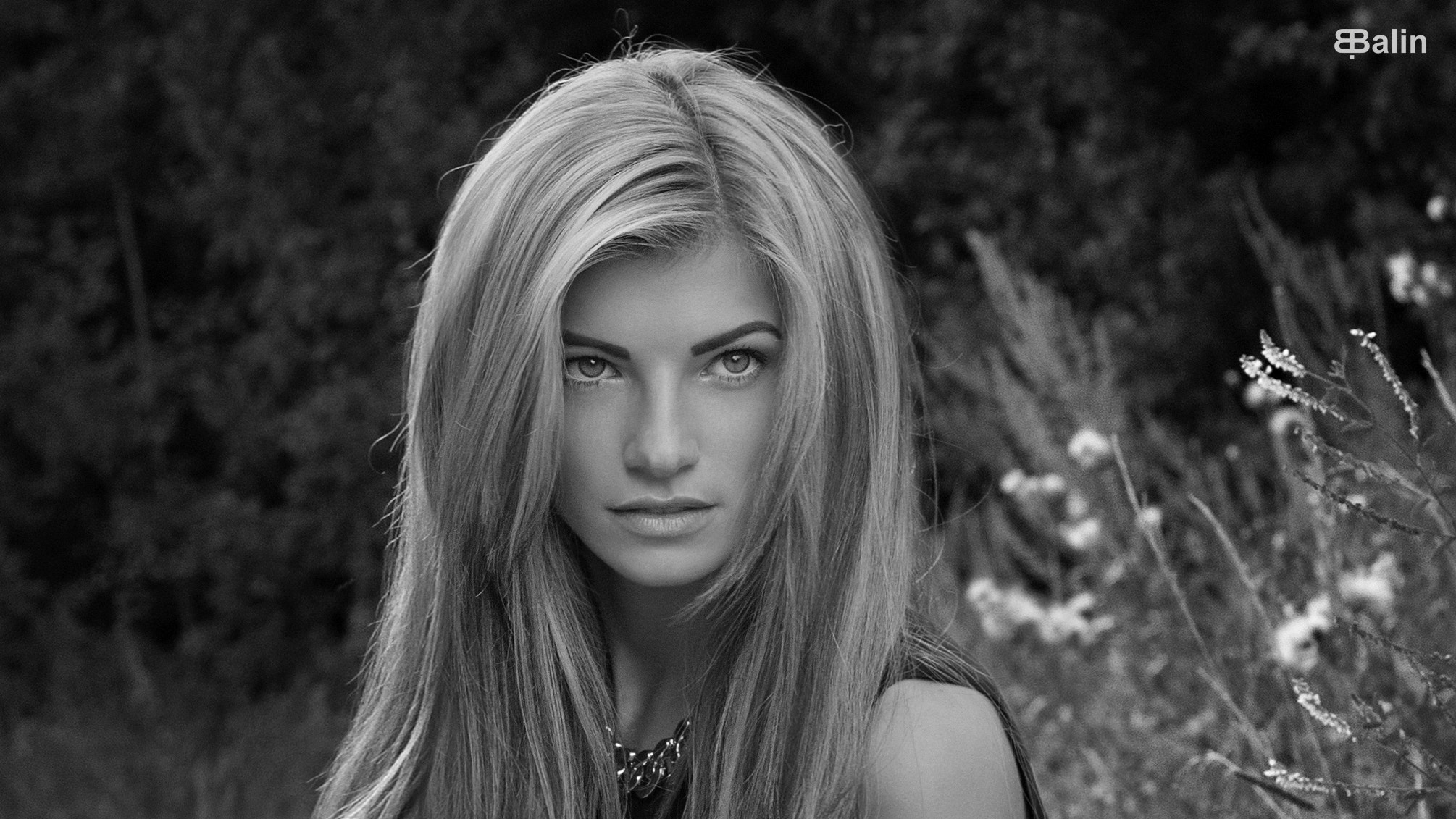 Catling by Eugene Balin / 500px