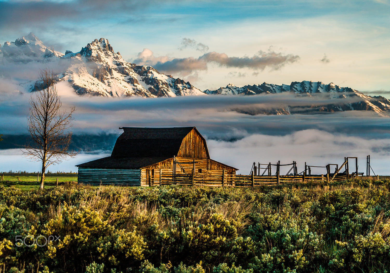 Mormon Row Sunrise by yitzi kessock / 500px