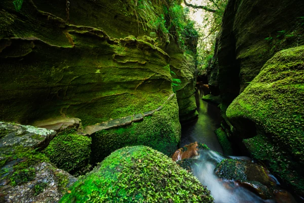 Dew Drops and Grass Seed by Cathie Bell / 500px