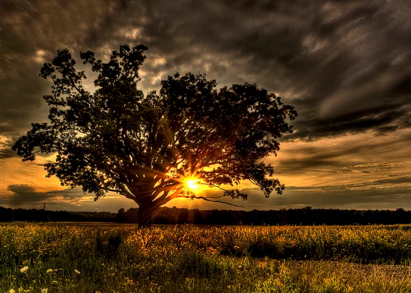 Dew Drops and Grass Seed by Cathie Bell / 500px