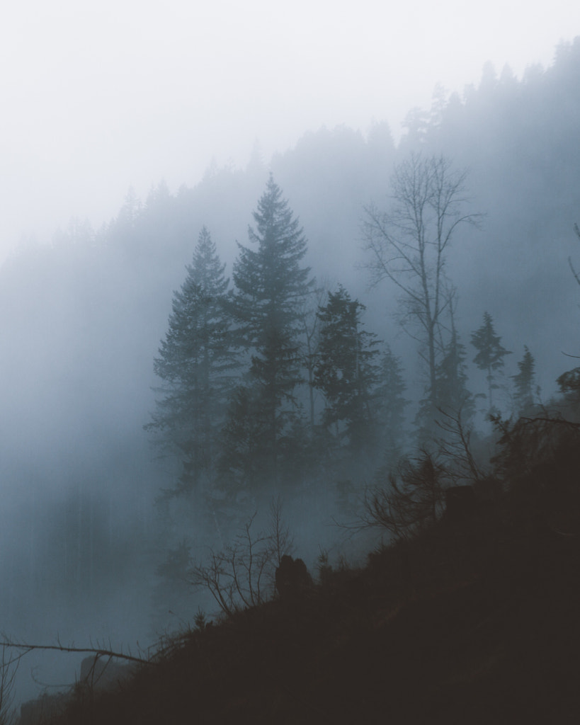 The Lone Survivors by Kyle Kuiper / 500px The Lone Survivors by Kyle Kuiper / 500px