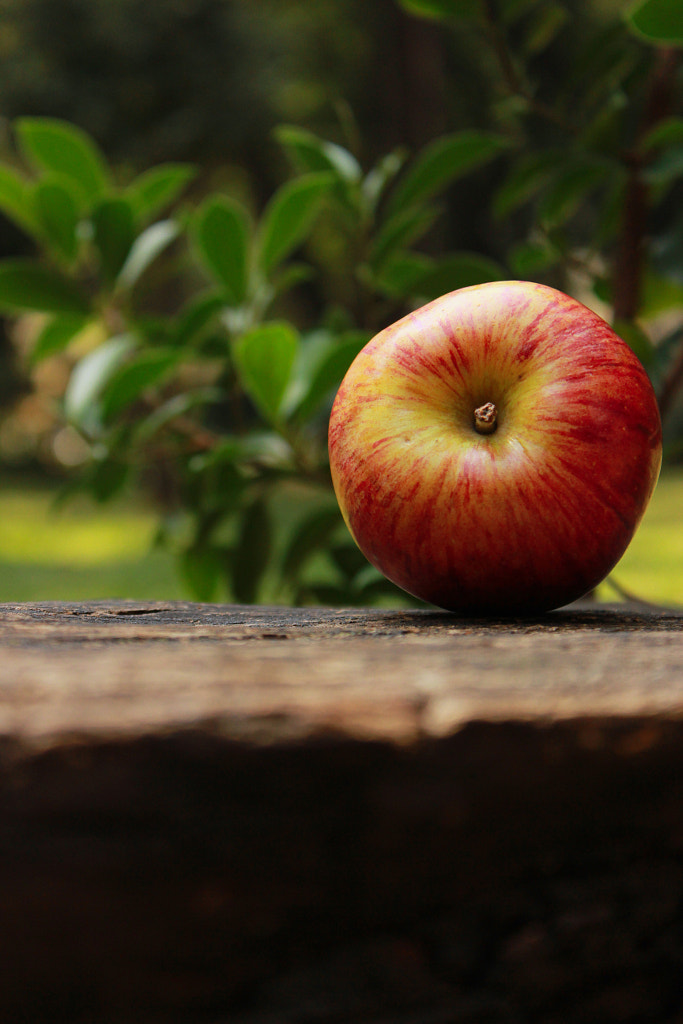 Fruto Proibido 03 by Débora Magno / 500px