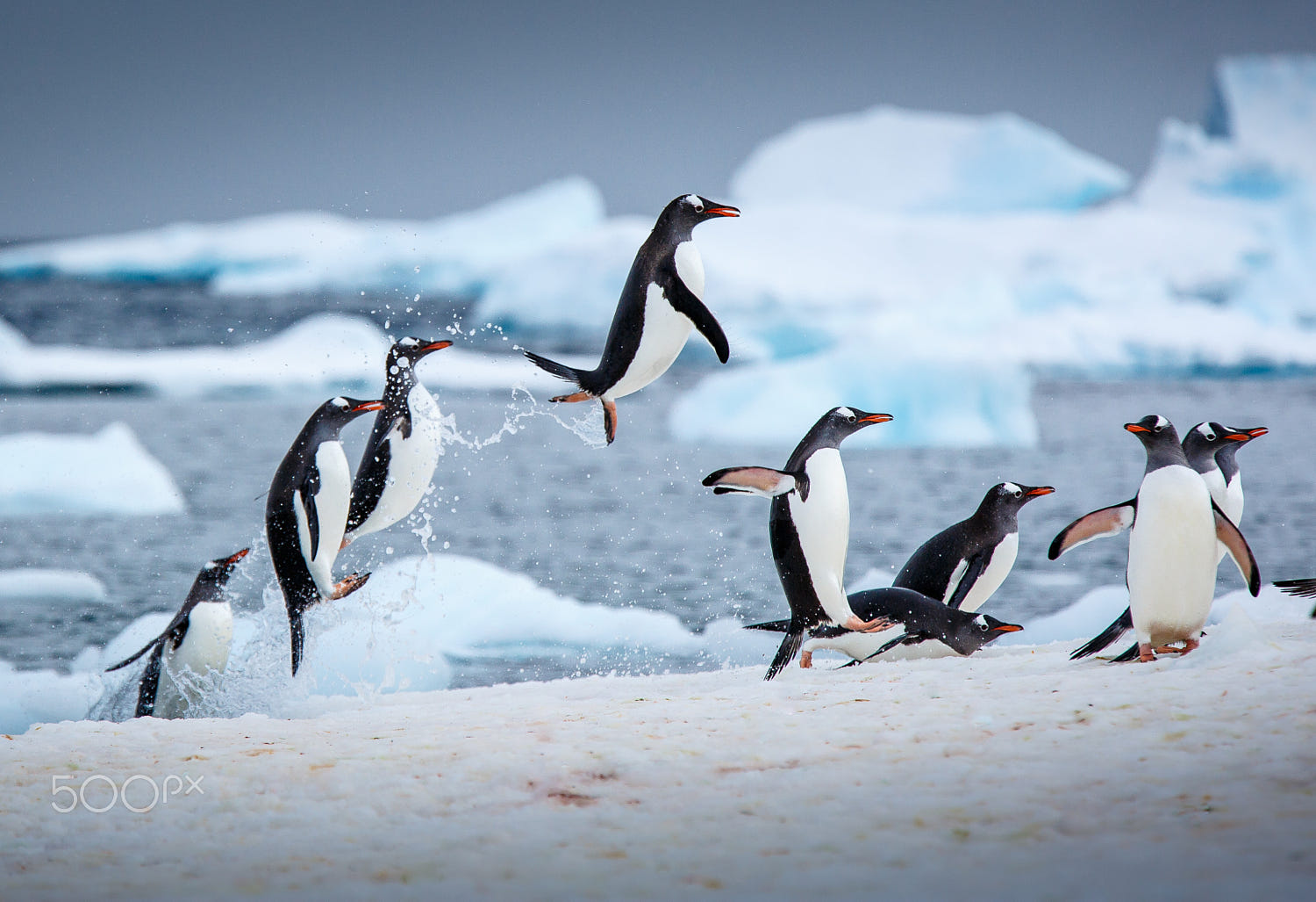 Airtime by David Merron / 500px