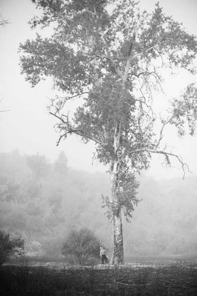 Wildland by Mando Pinon | 500px