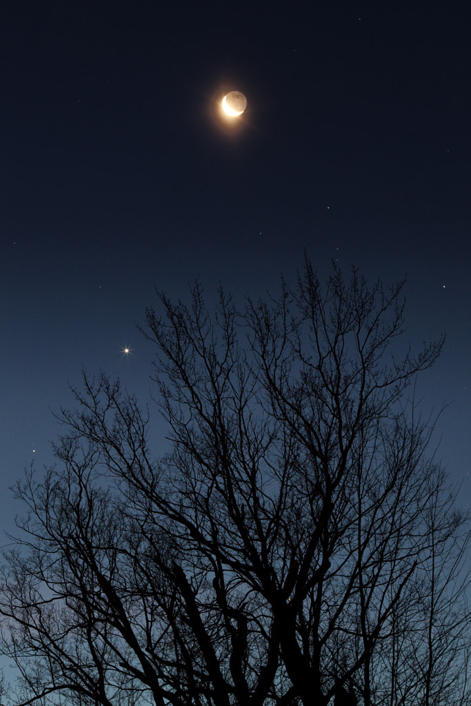 Winter Sky Companions by Jim Crotty by Jim Crotty / 500px