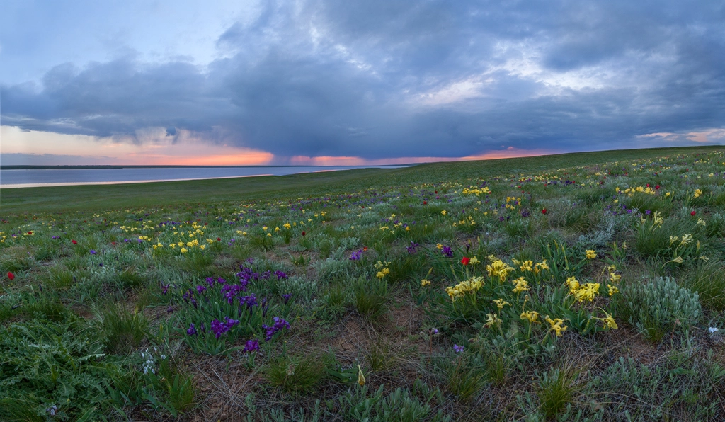In the Russian steppes by Arseny Kashkarov | 500px