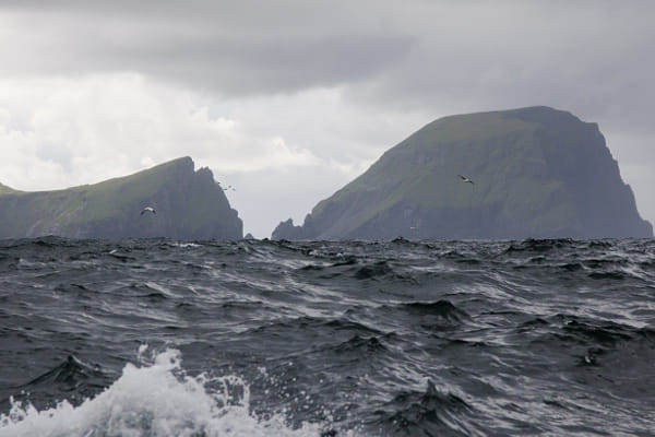 Isle of Soay, St Kilda by Angus Mackie | 500px