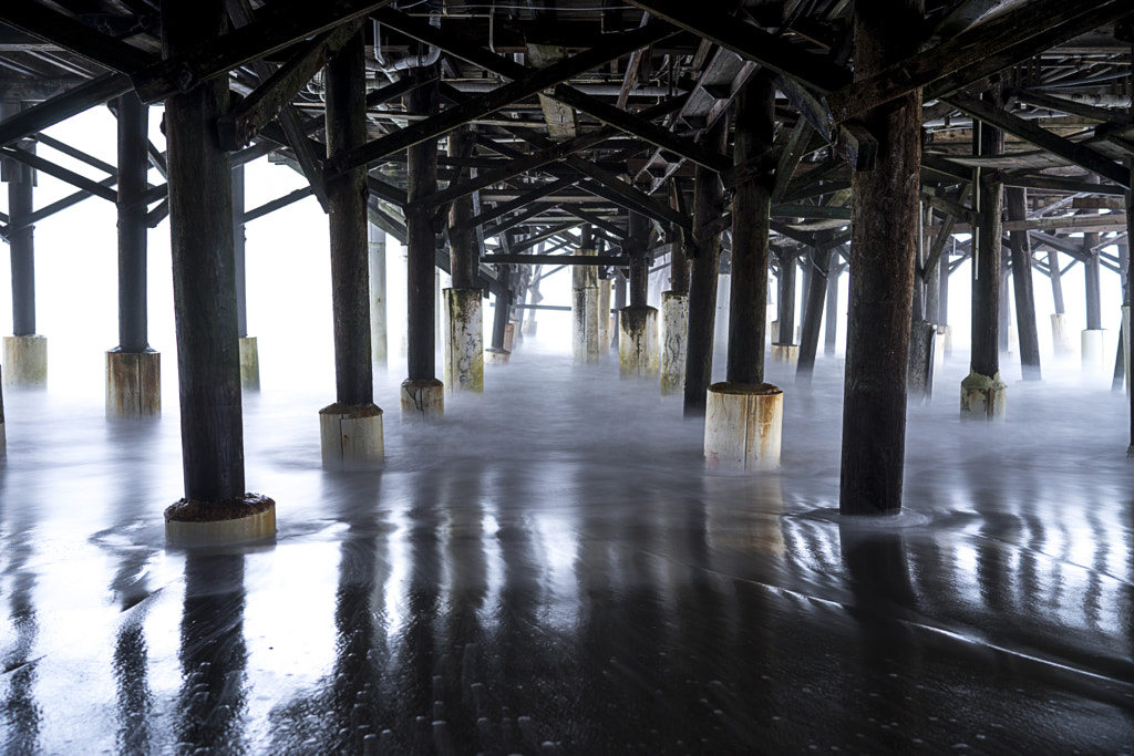 Into the mist by Greg Duggan / 500px