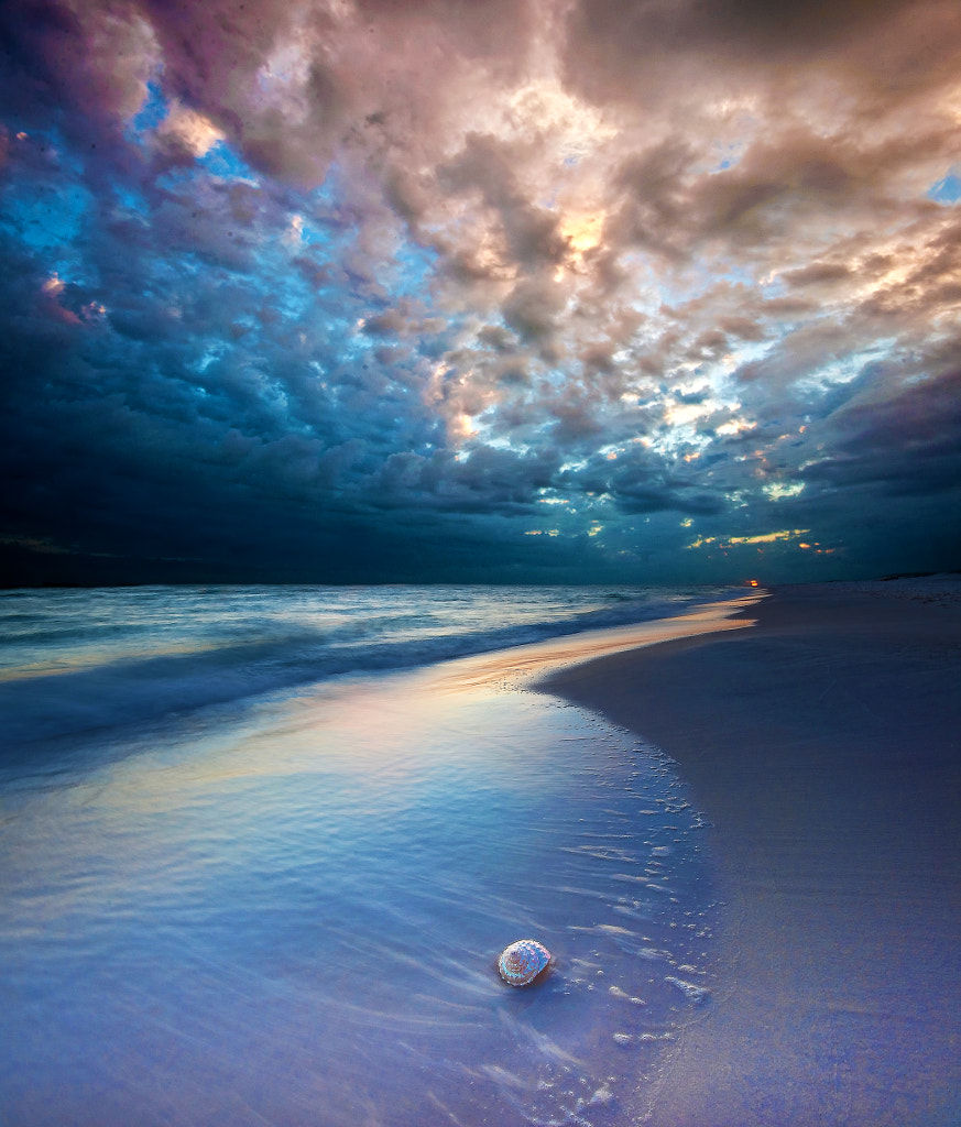 Spiral Seashell Ocean Background by Stephani Elizabeth / 500px