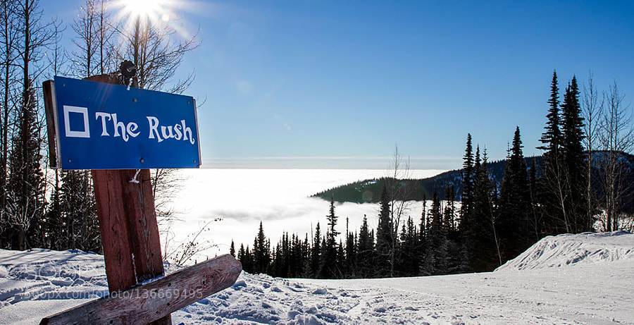 GALLERY | Troll Resort