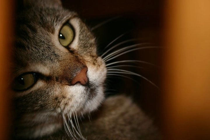 n by Maliah Carroll / 500px