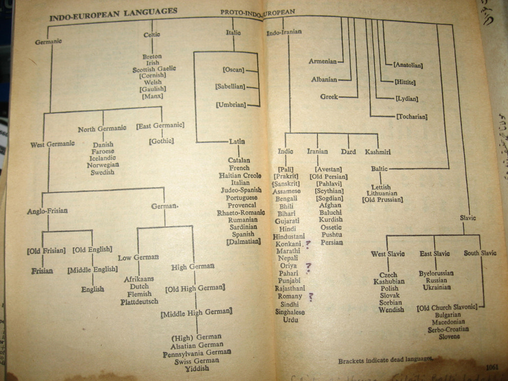 Indo-European languages family tree by Wajid Kakakhel / 500px