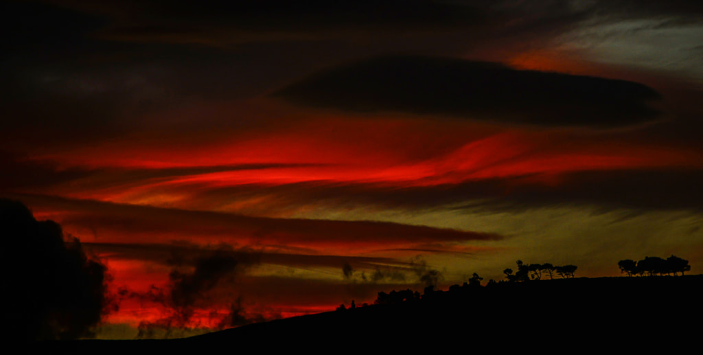 Red Invasion by Peter Comninellis / 500px