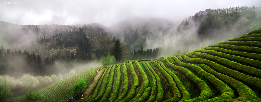 A deep breath by Jaewoon U / 500px