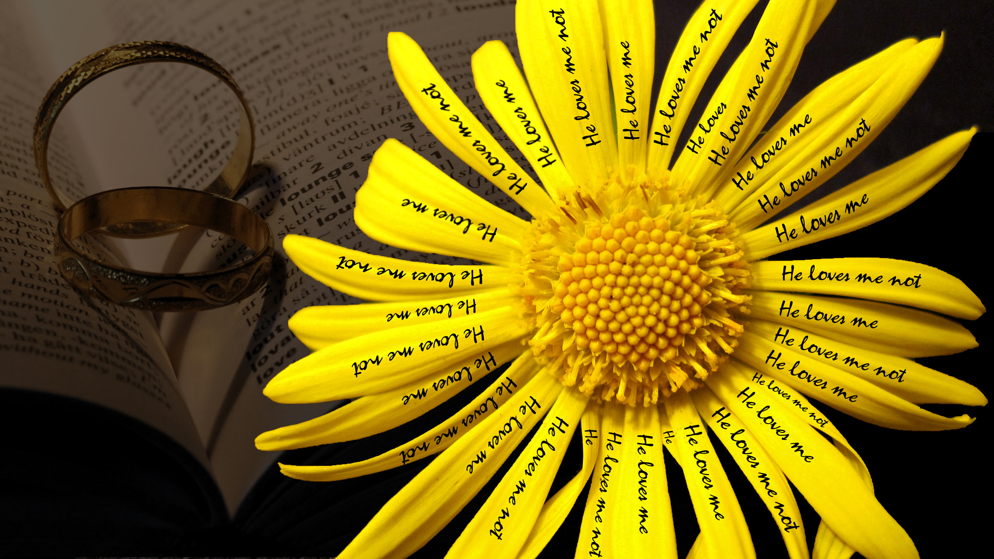 Effeuiller la marguerite by Siew Feun Kylemark / 500px Effeuiller la marguerite by Siew Feun Kylemark / 500px